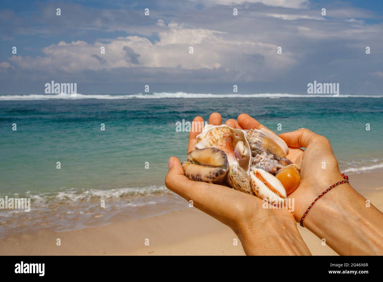 Hands holding shells beach hi-res stock photography and images - Alamy