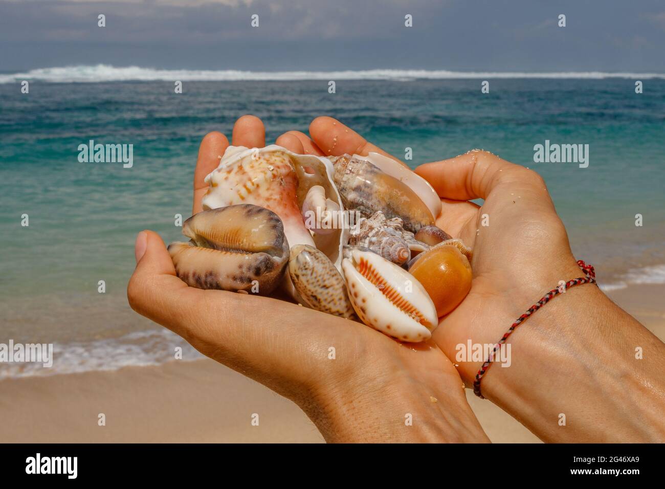 Hands holding shells beach hi-res stock photography and images - Alamy