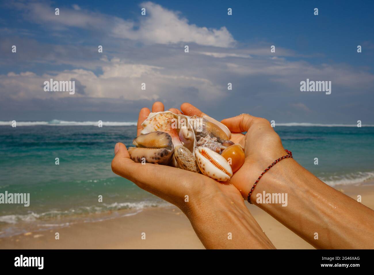 Hands holding shells beach hi-res stock photography and images - Alamy