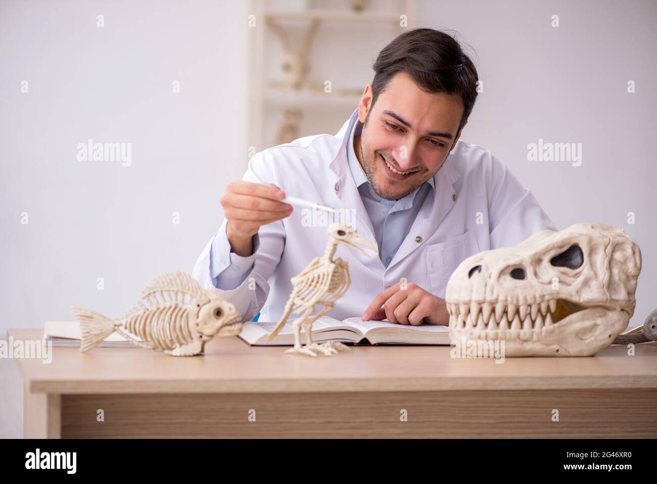 Young student paleontologist examining ancient animals at lab Stock ...