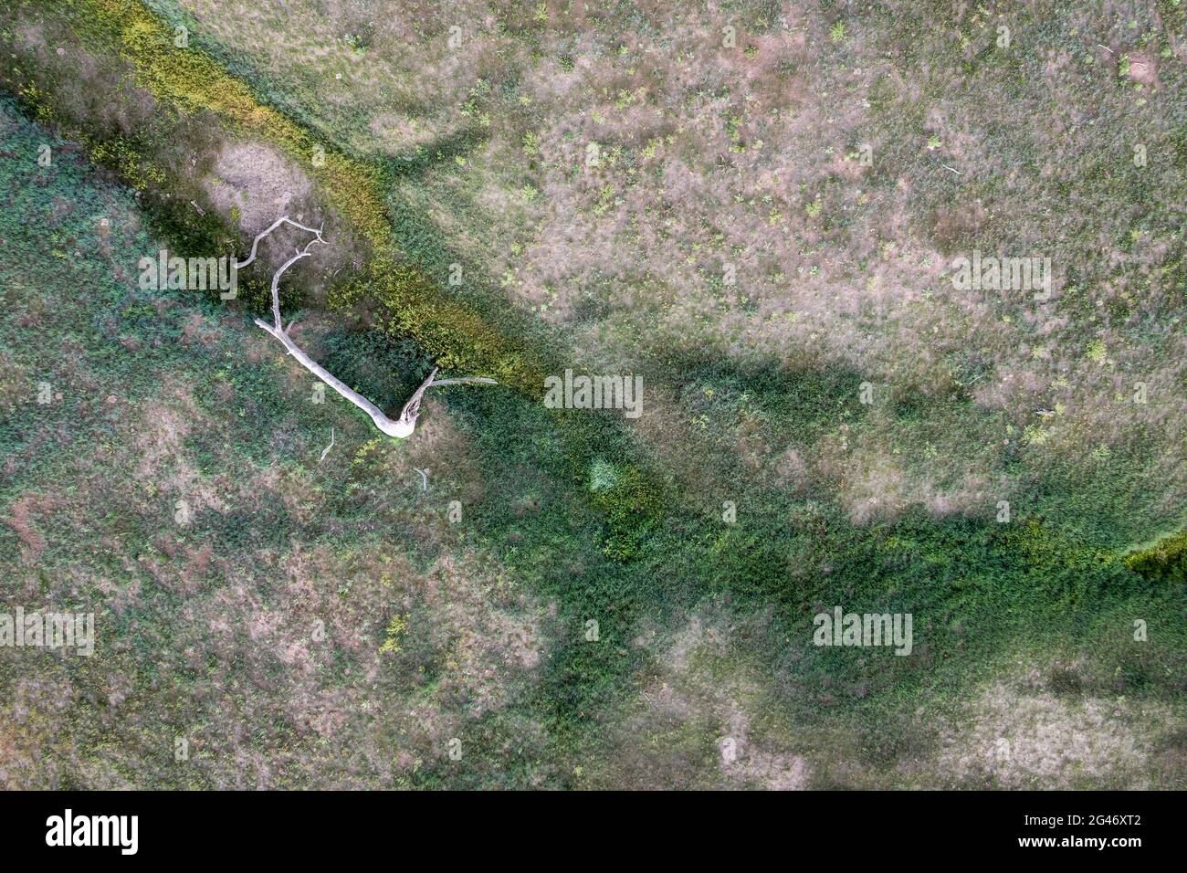 aerial view of shortgrass prairie with a bed of a seasonal creek ...