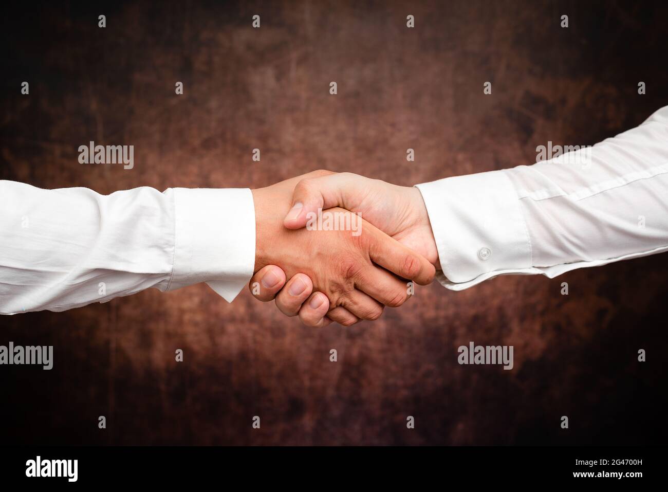 Corporate Businessmen Handshake Indoors.Two People Professionally Well ...