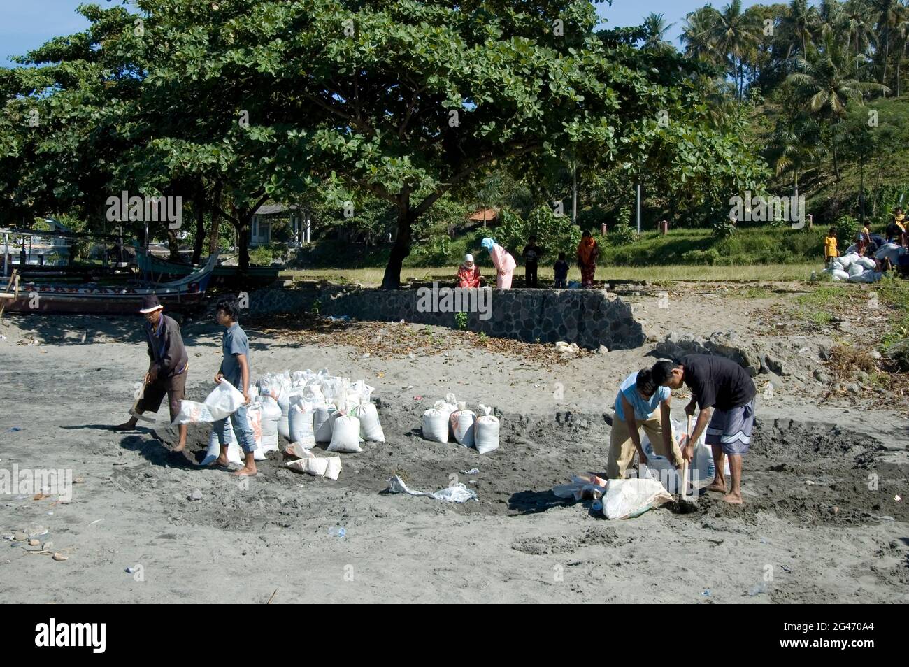 Men digging up beach sand into bags for construction, Pelabuhan Ratu ...