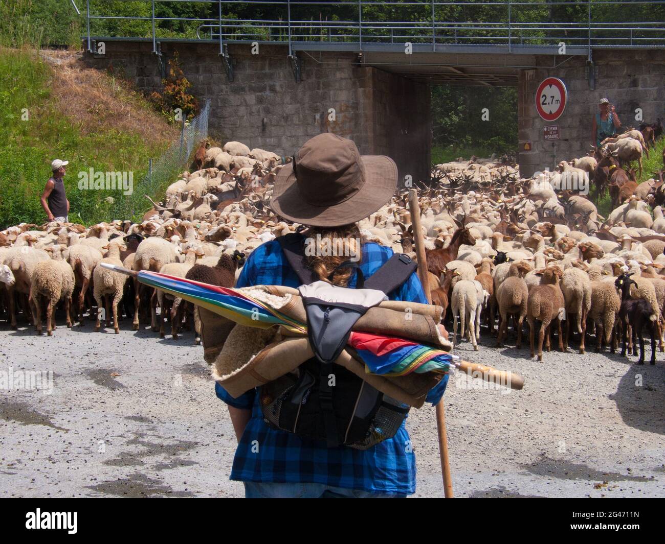 Transhumance europe hi-res stock photography and images - Alamy