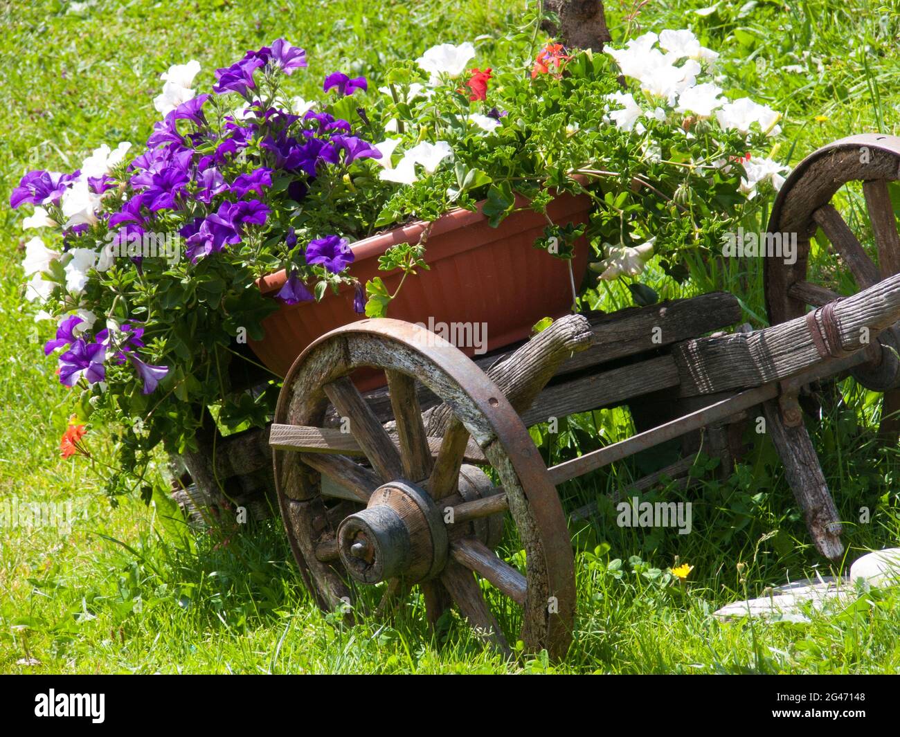 Courtaud hi-res stock photography and images - Alamy