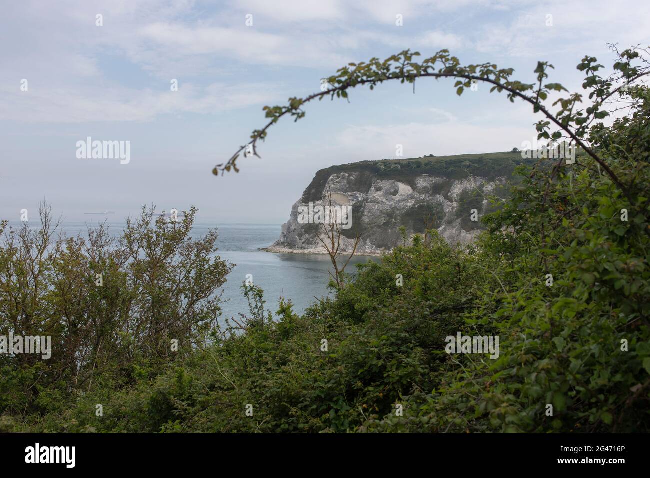 View of Culver Cliff / Whitecliff Ledge, looking out to sea from the ...