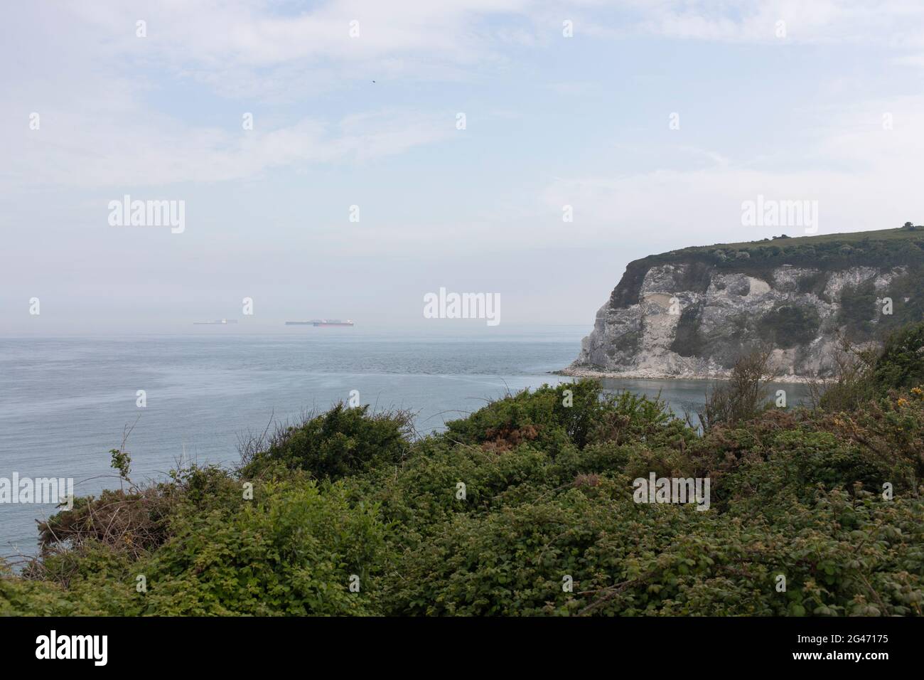 View of Culver Cliff / Whitecliff Ledge, looking out to sea from the ...