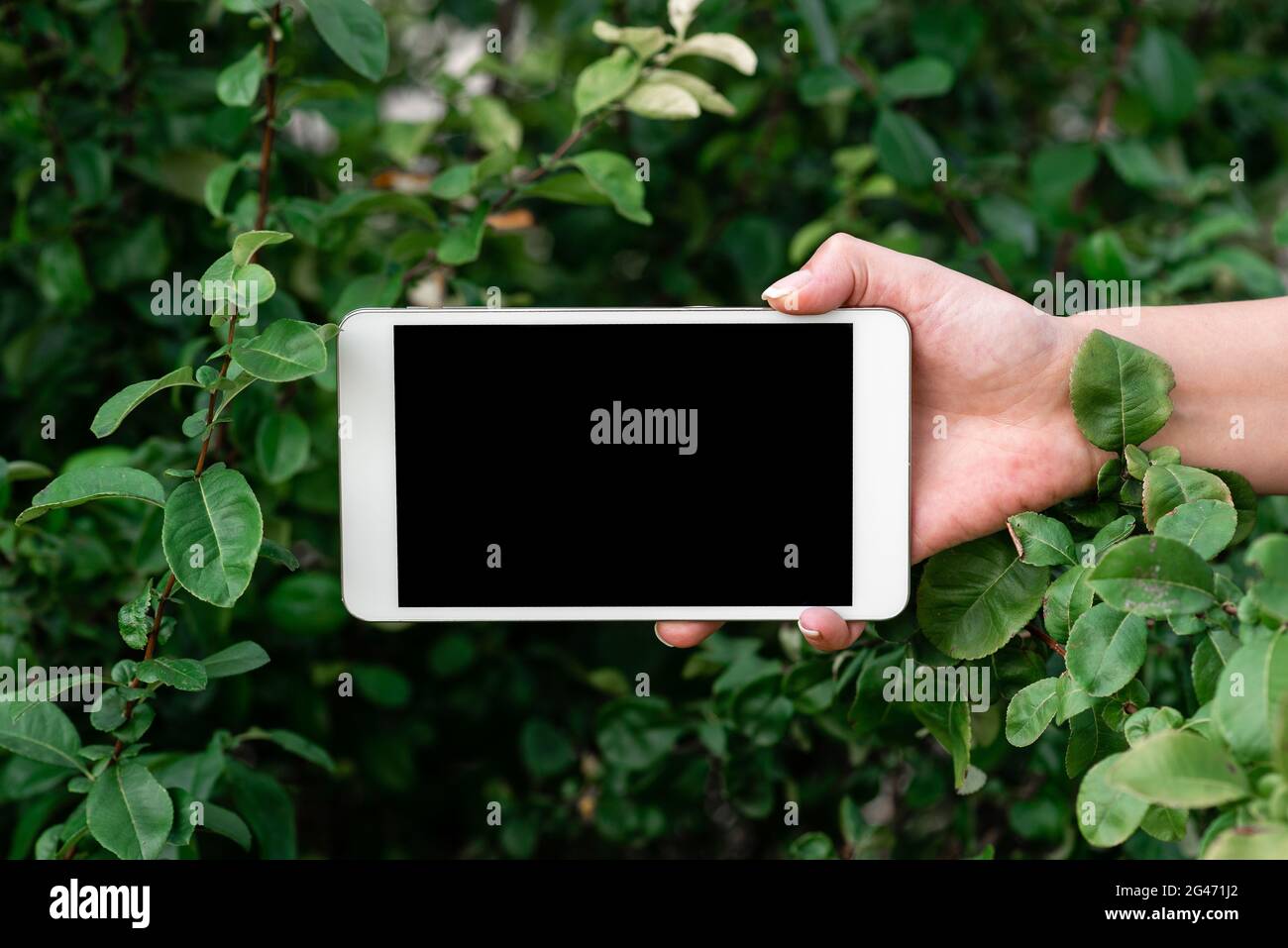 Connecting People Together, Voice Video Calling, Communication ...