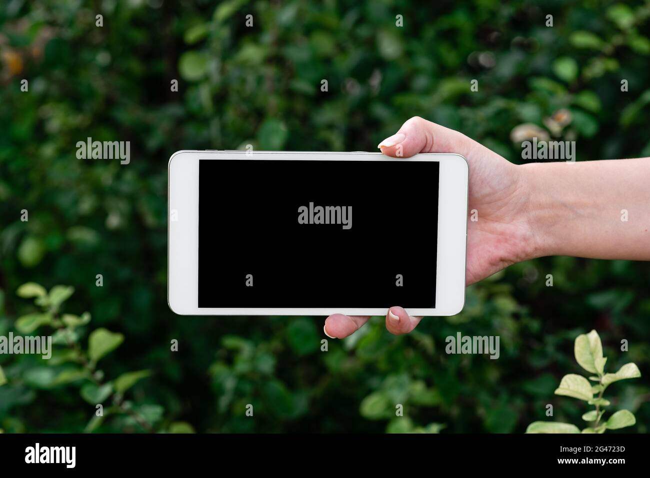 Connecting People Together, Voice Video Calling, Communication ...