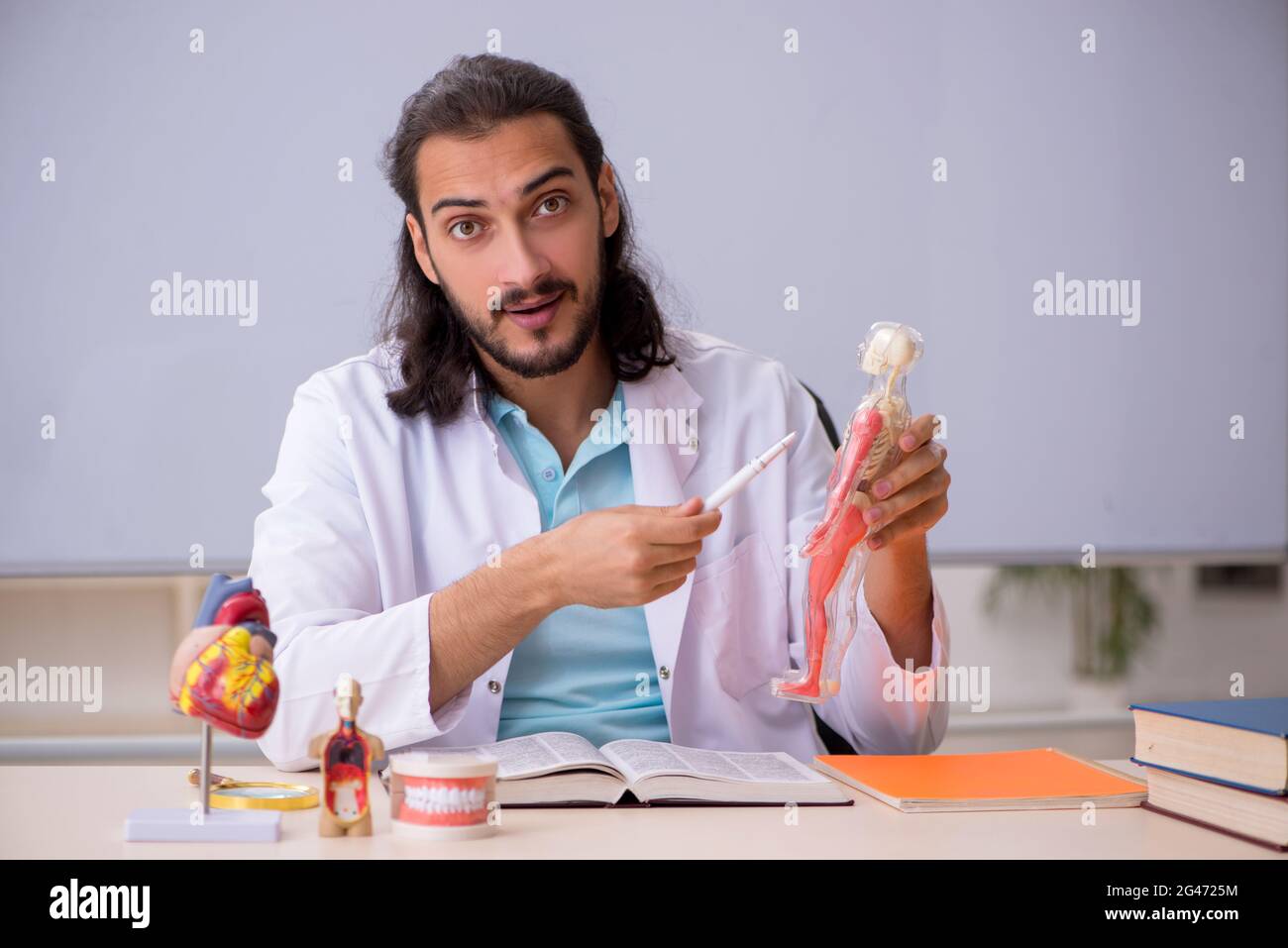 Young student studying human anatomy Stock Photo - Alamy