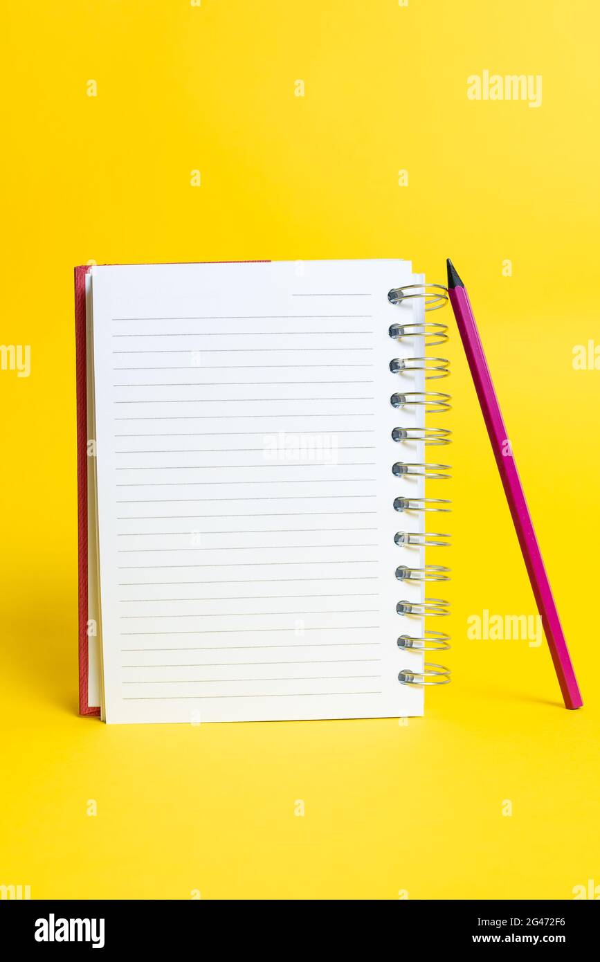 Colorful Idea Presentation, Displaying Fresh Thoughts, Sending Message ...