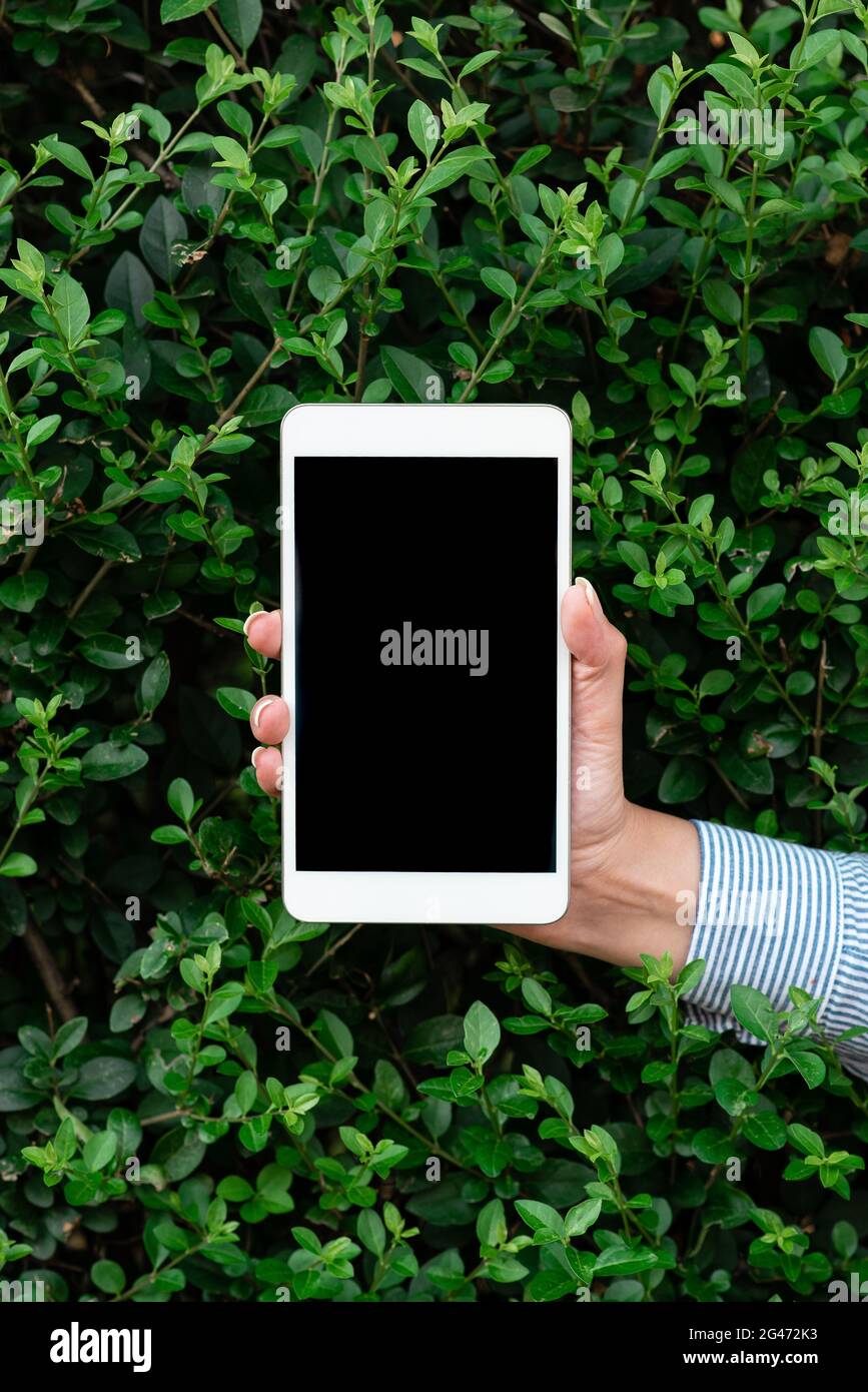 Connecting People Together, Voice Video Calling, Communication ...