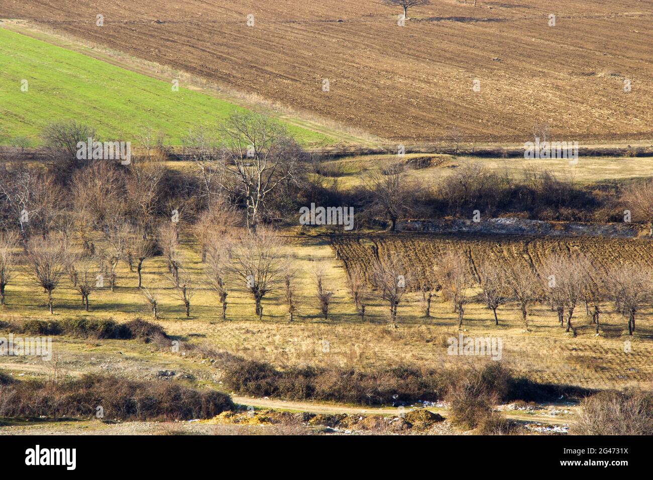 Georgia farm land hi-res stock photography and images - Alamy