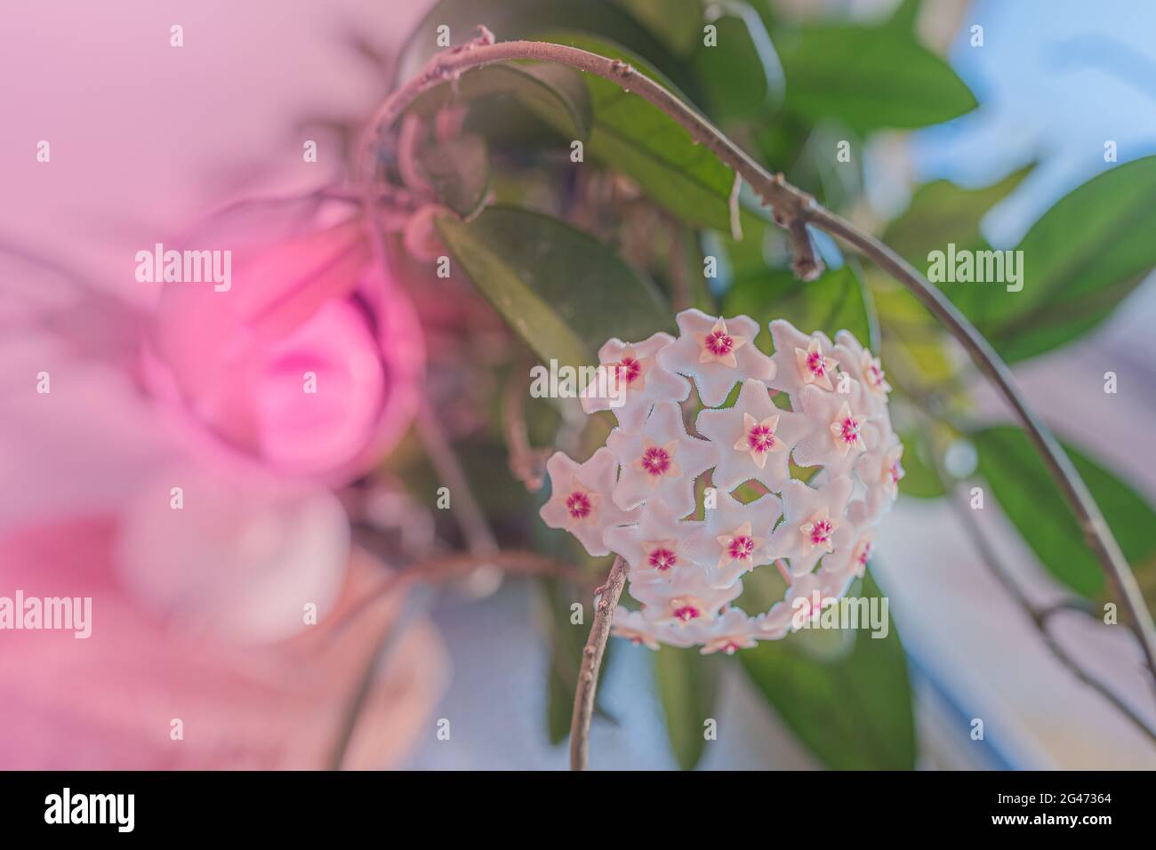 Continuation daylight hi-res stock photography and images - Alamy
