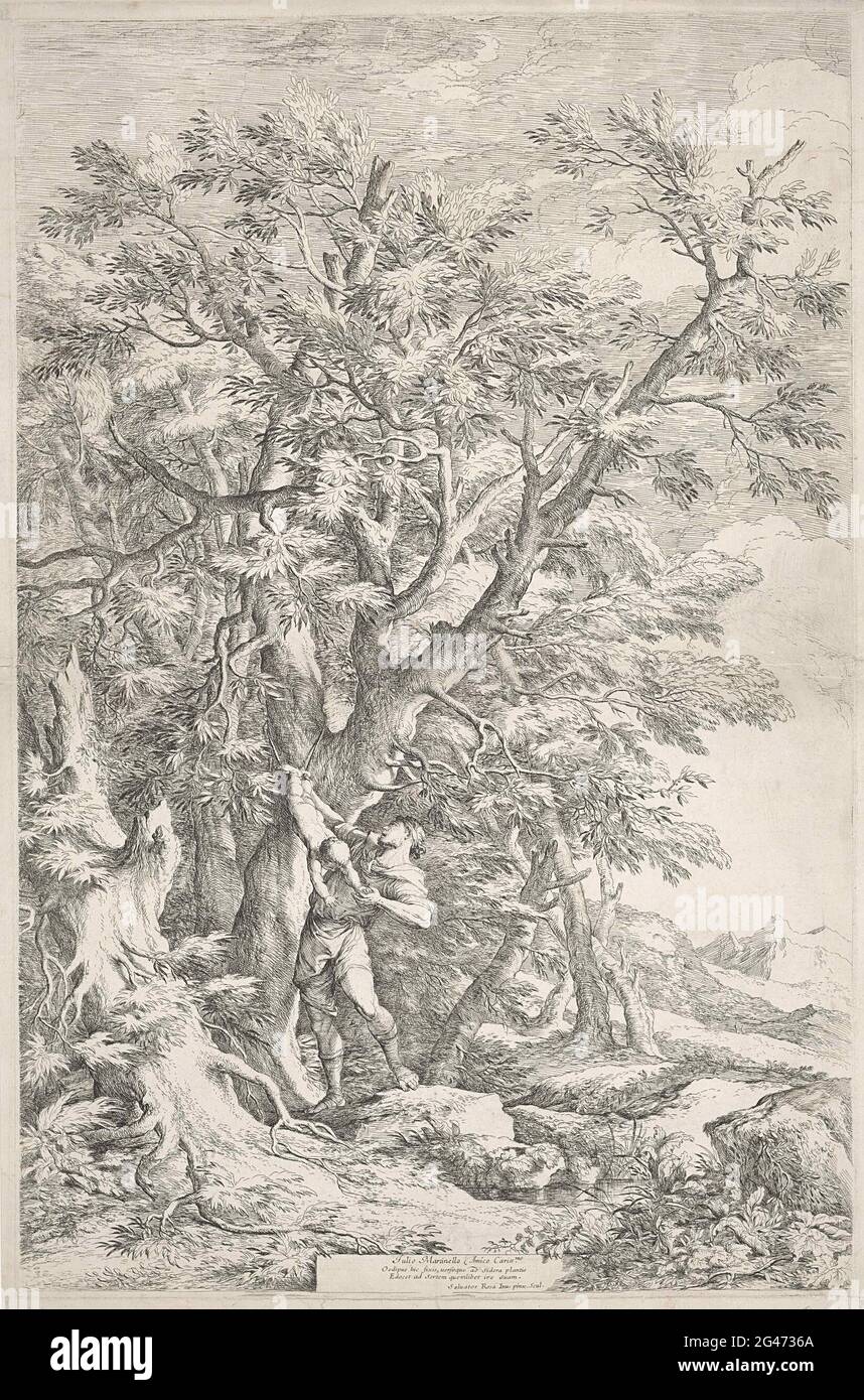 Oedipus rescue. The young Oedipus hangs on his feet tied into a tree. A ...