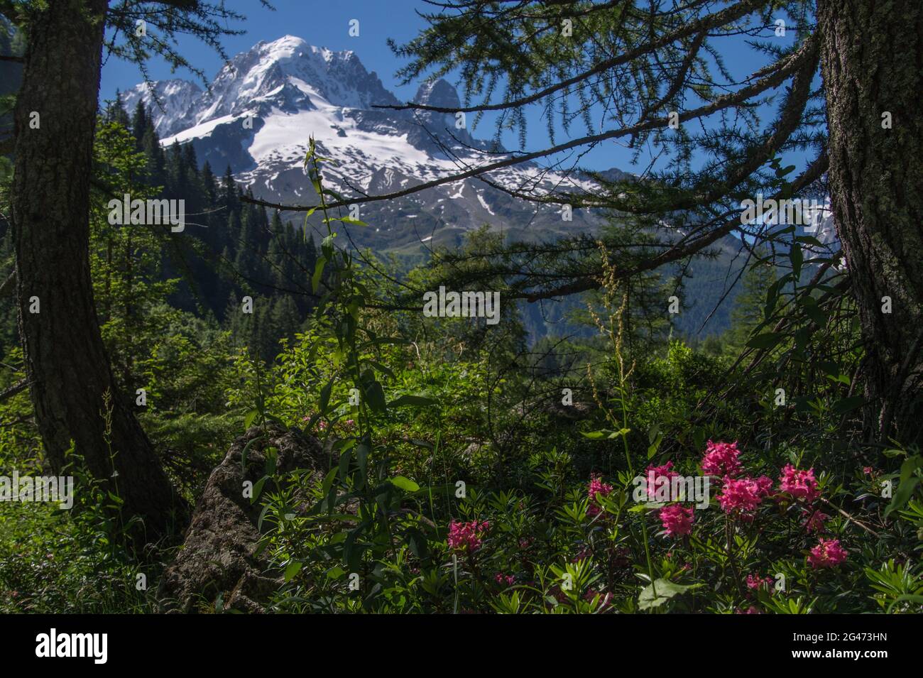 Col des montets Stock Photo - Alamy