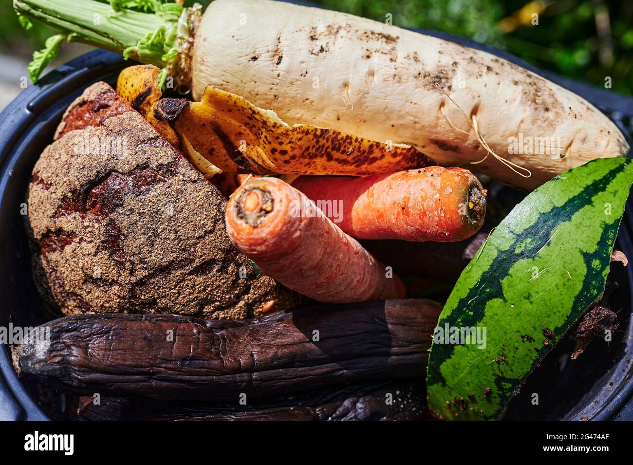View into a bio container with various organic wastes for recycling ...