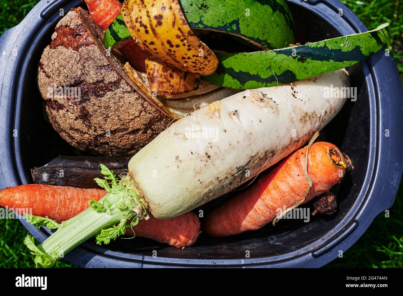 View into a bio container with various organic wastes for recycling ...