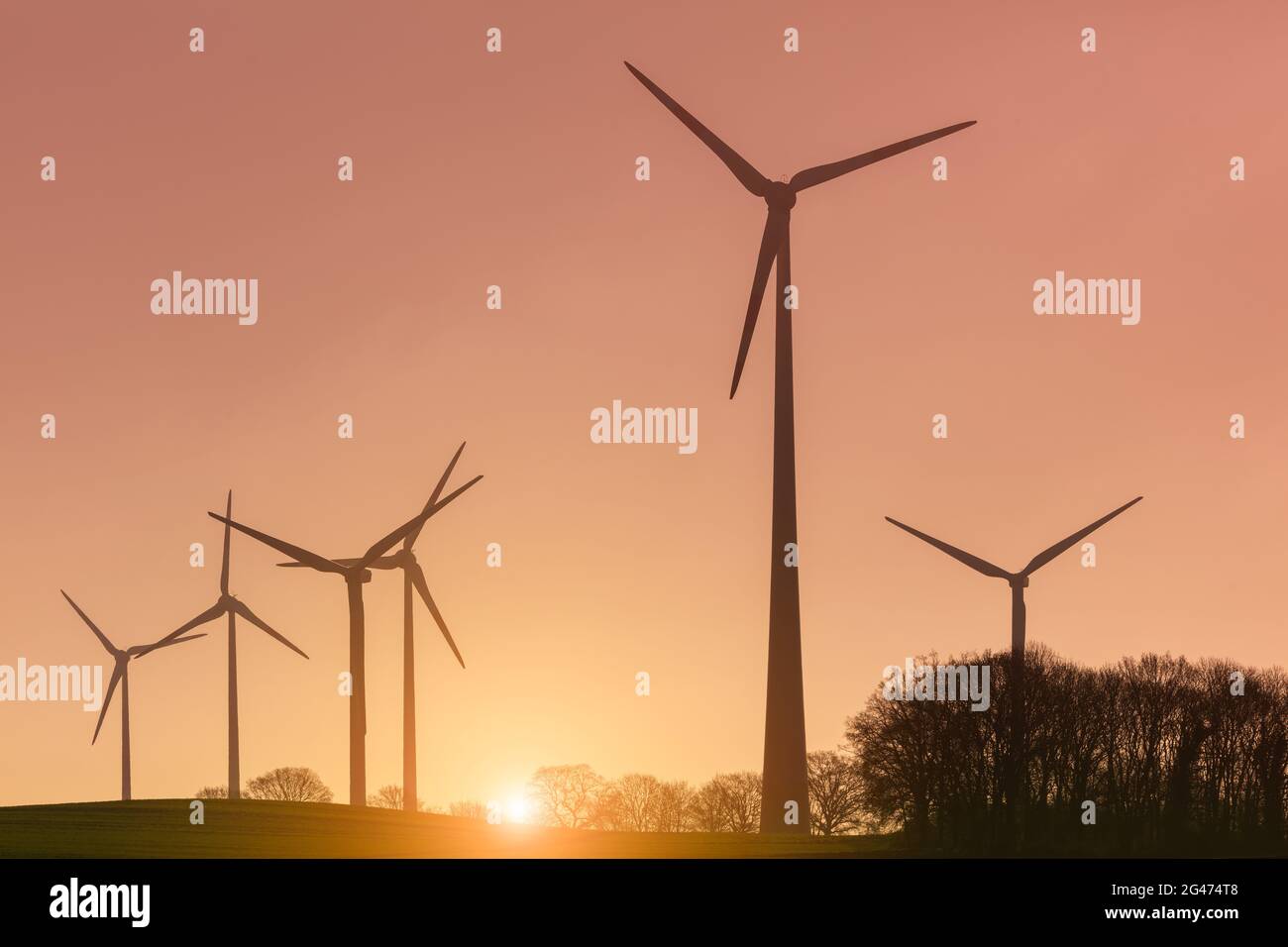 Windmills, wind energy, ecological power generation, clean energy ...
