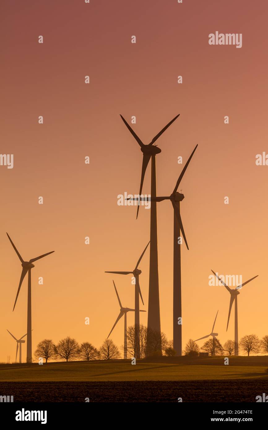 Windmills, wind energy, ecological power generation, clean energy ...