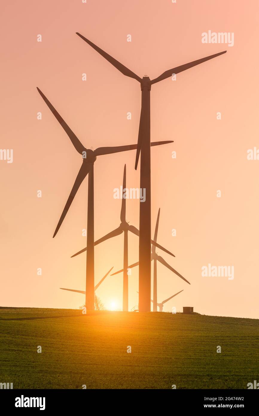 Windmills, wind energy, ecological power generation, clean energy ...