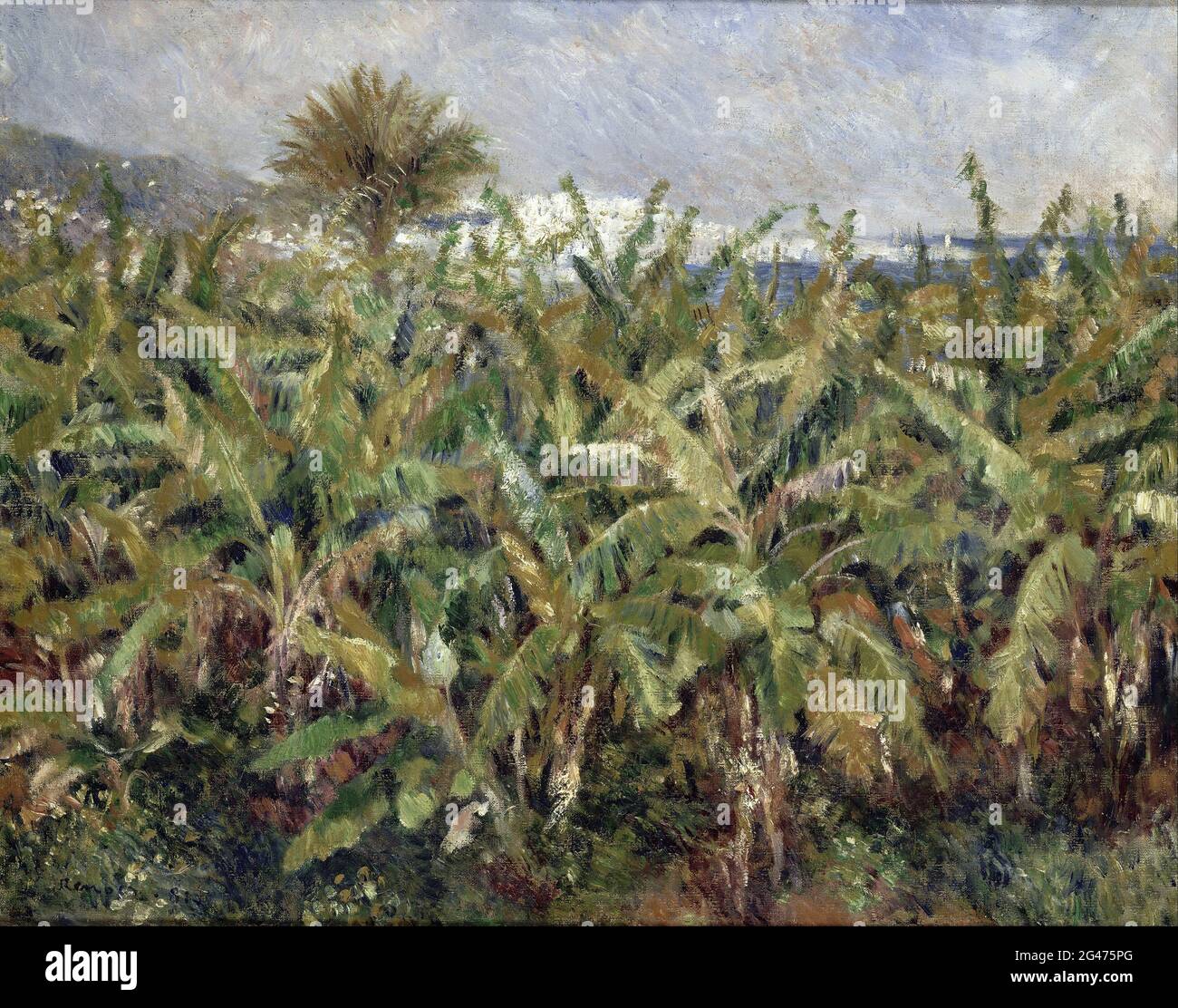 Pierre-Auguste Renoir - Field of Banana Trees Stock Photo - Alamy
