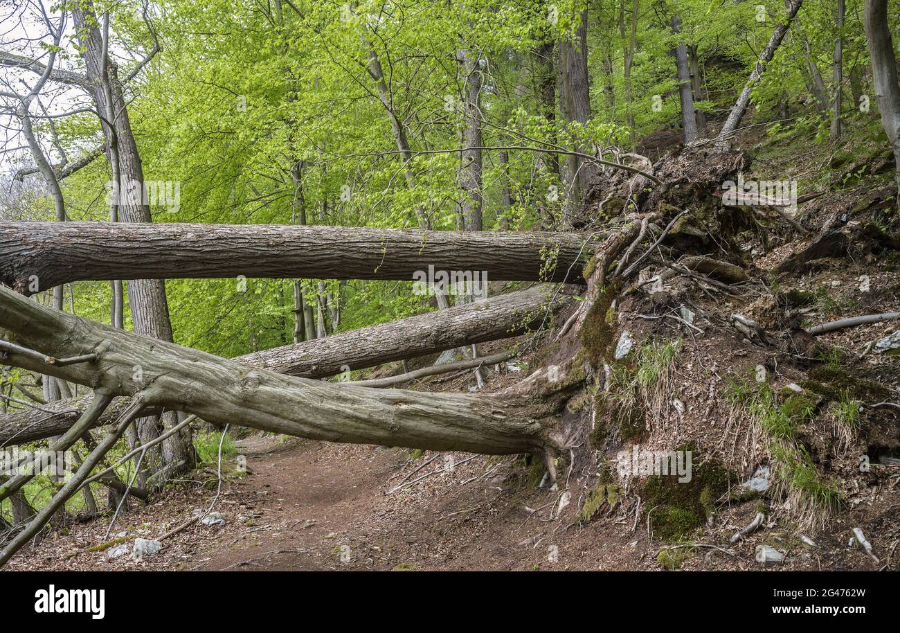 Lanes blocked hi-res stock photography and images - Alamy