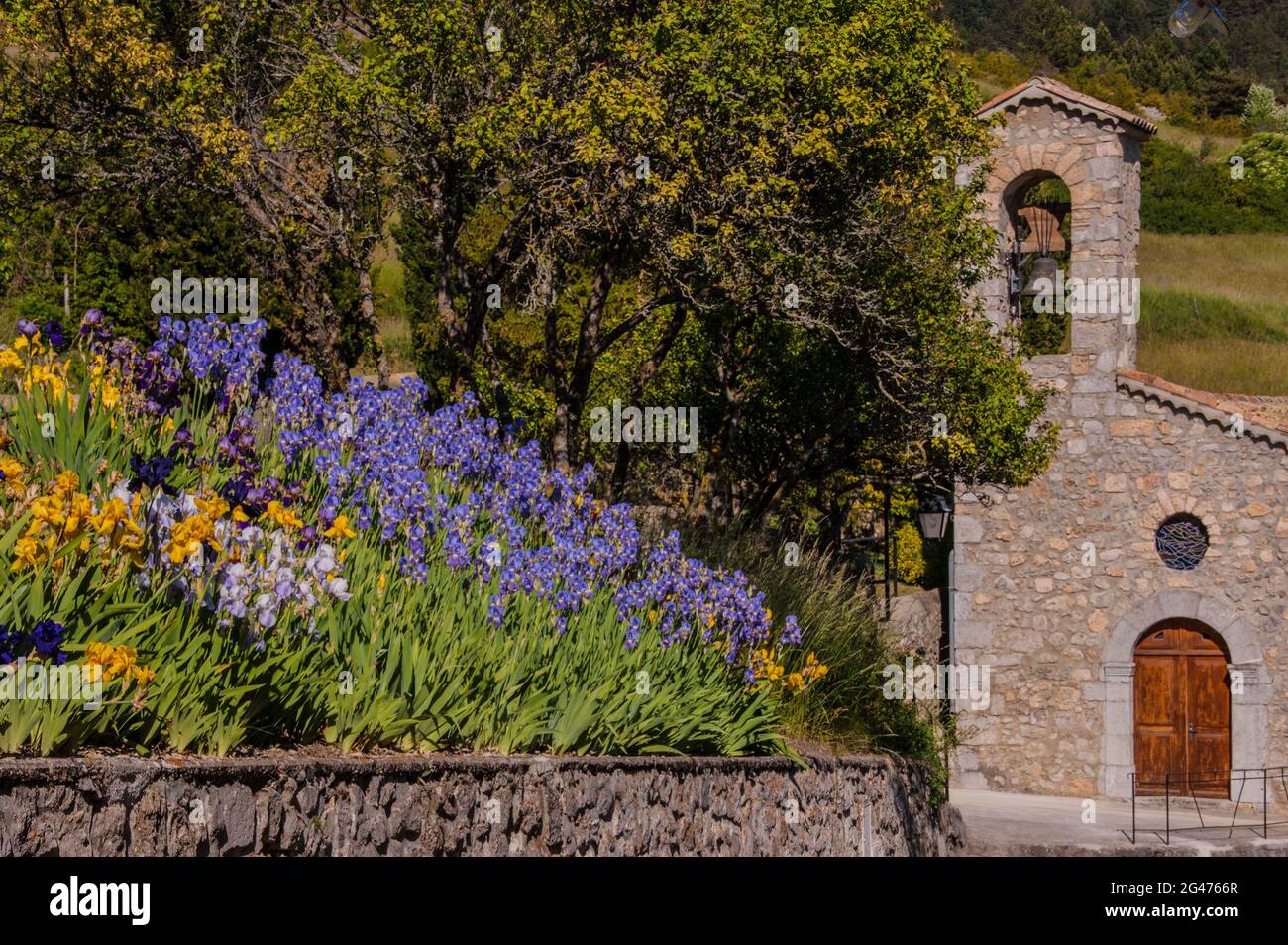 Rimon hi-res stock photography and images - Alamy