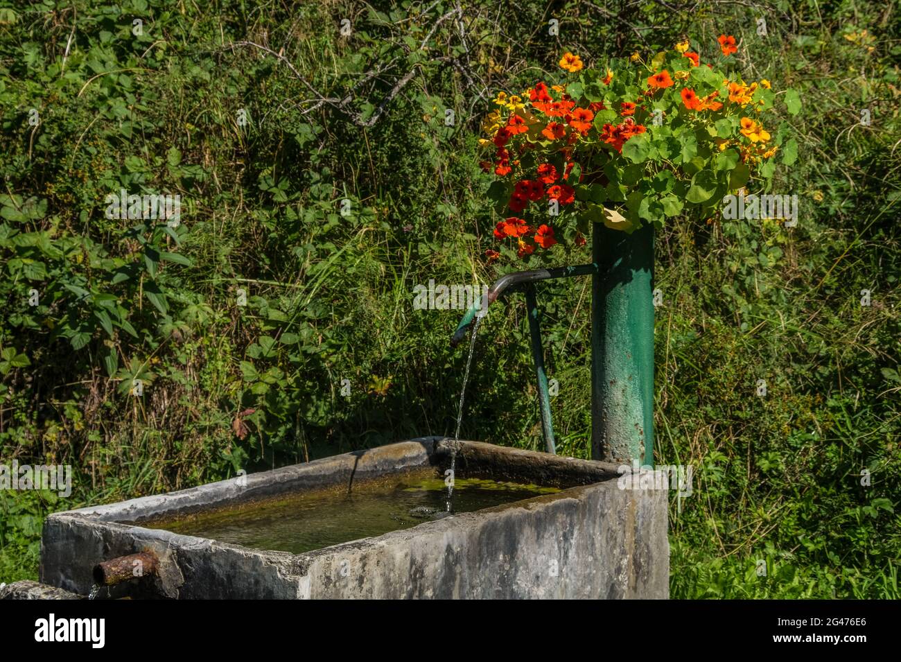 Tappa hi-res stock photography and images - Alamy