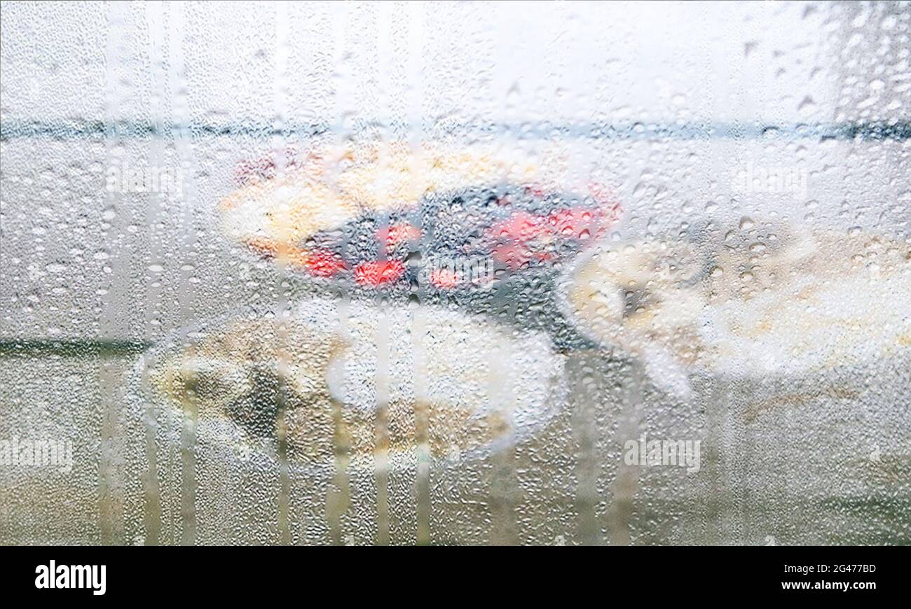 Misty glass window with dripping rain drops on a rainy day Stock Photo ...