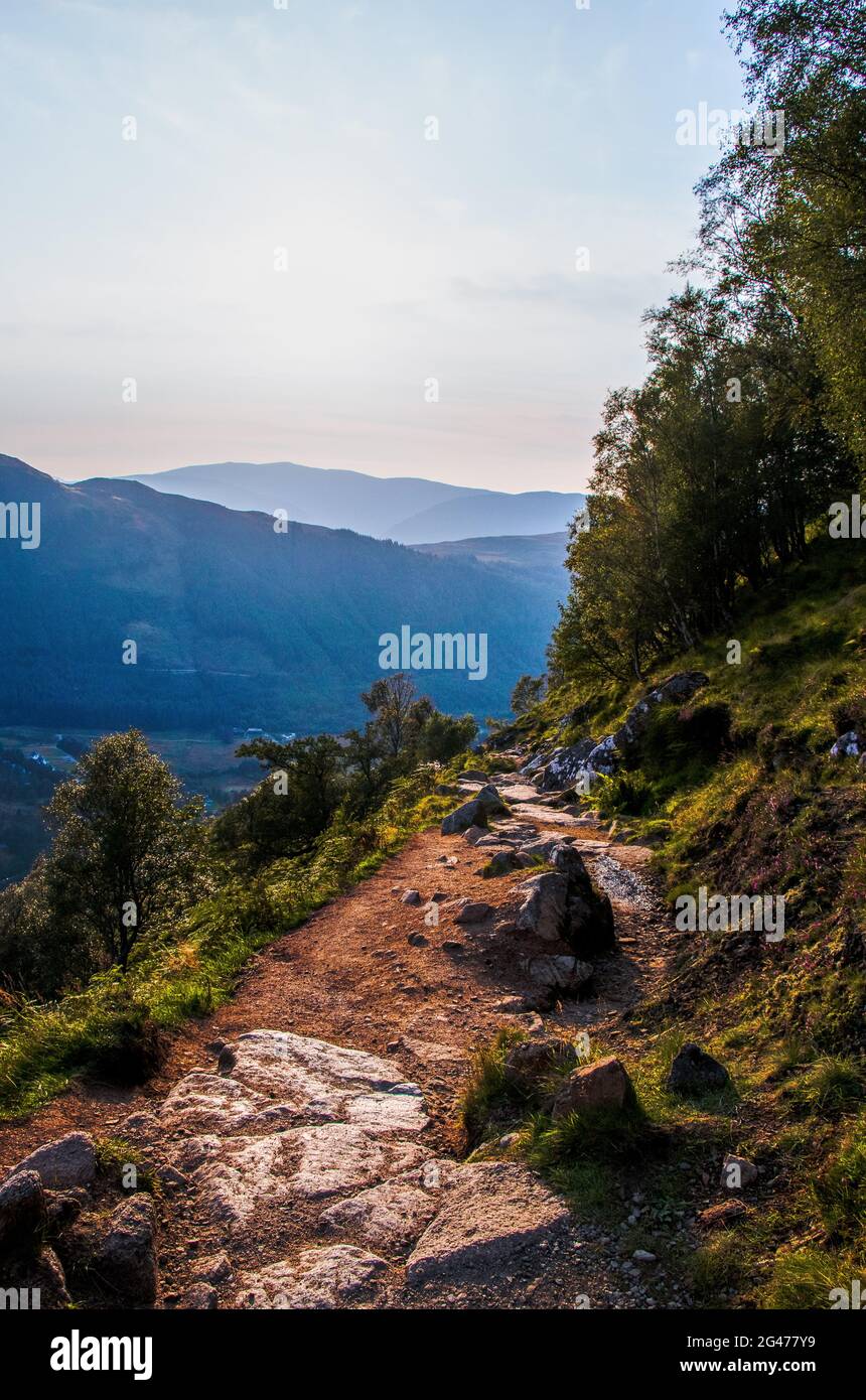Vertical shot of a pathway on the forested mountain Stock Photo - Alamy