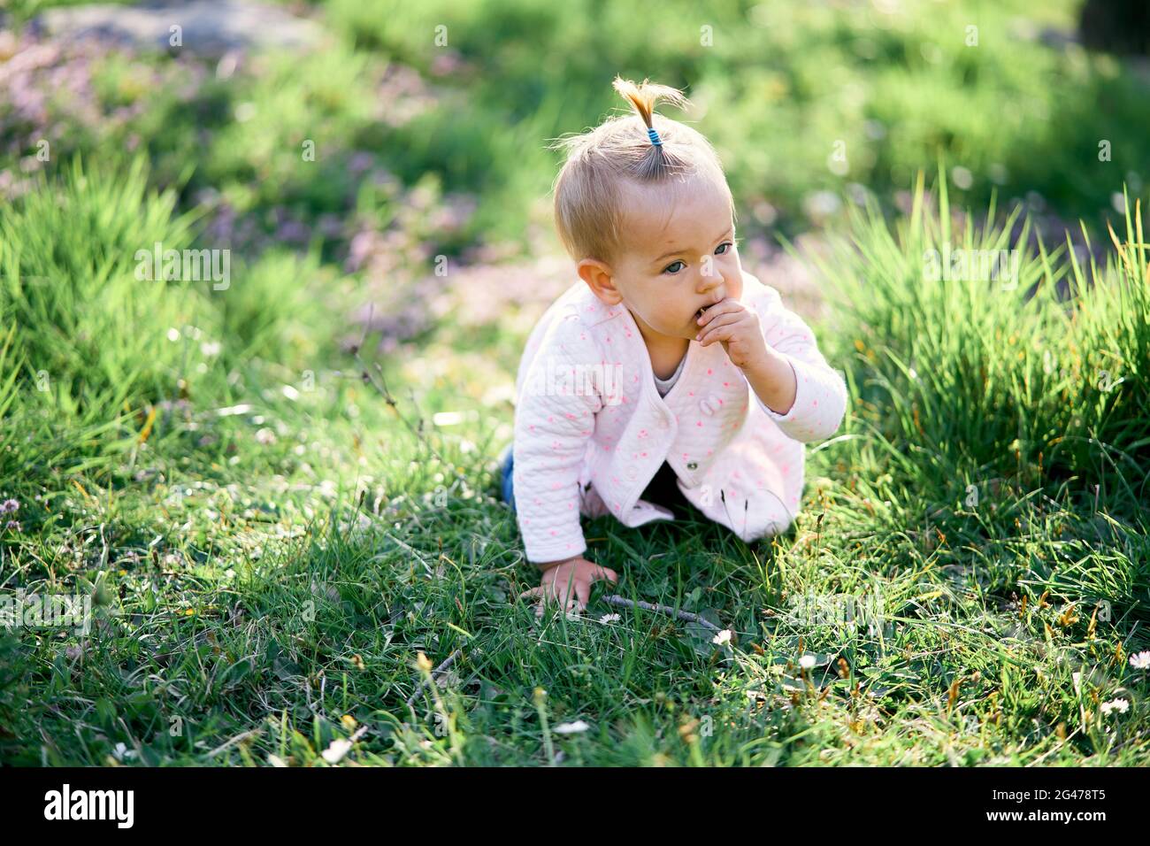 Hand holding small white flowers hi-res stock photography and images ...