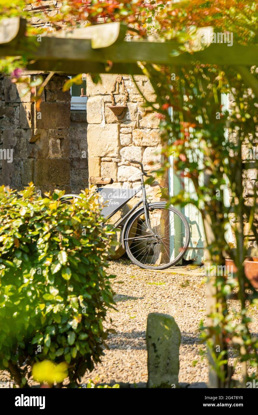 rustic scene of old bicycle on Northumberland farm Stock Photo - Alamy