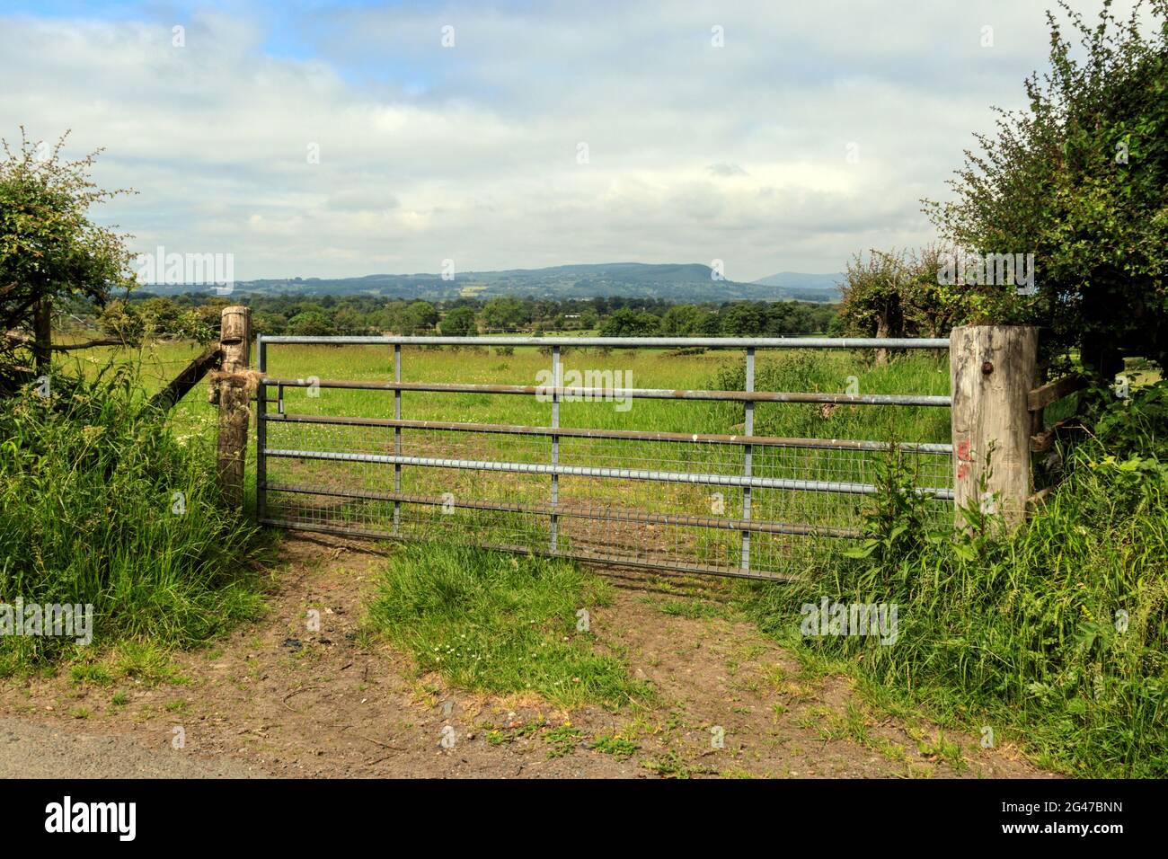 Wiswell hi-res stock photography and images - Alamy