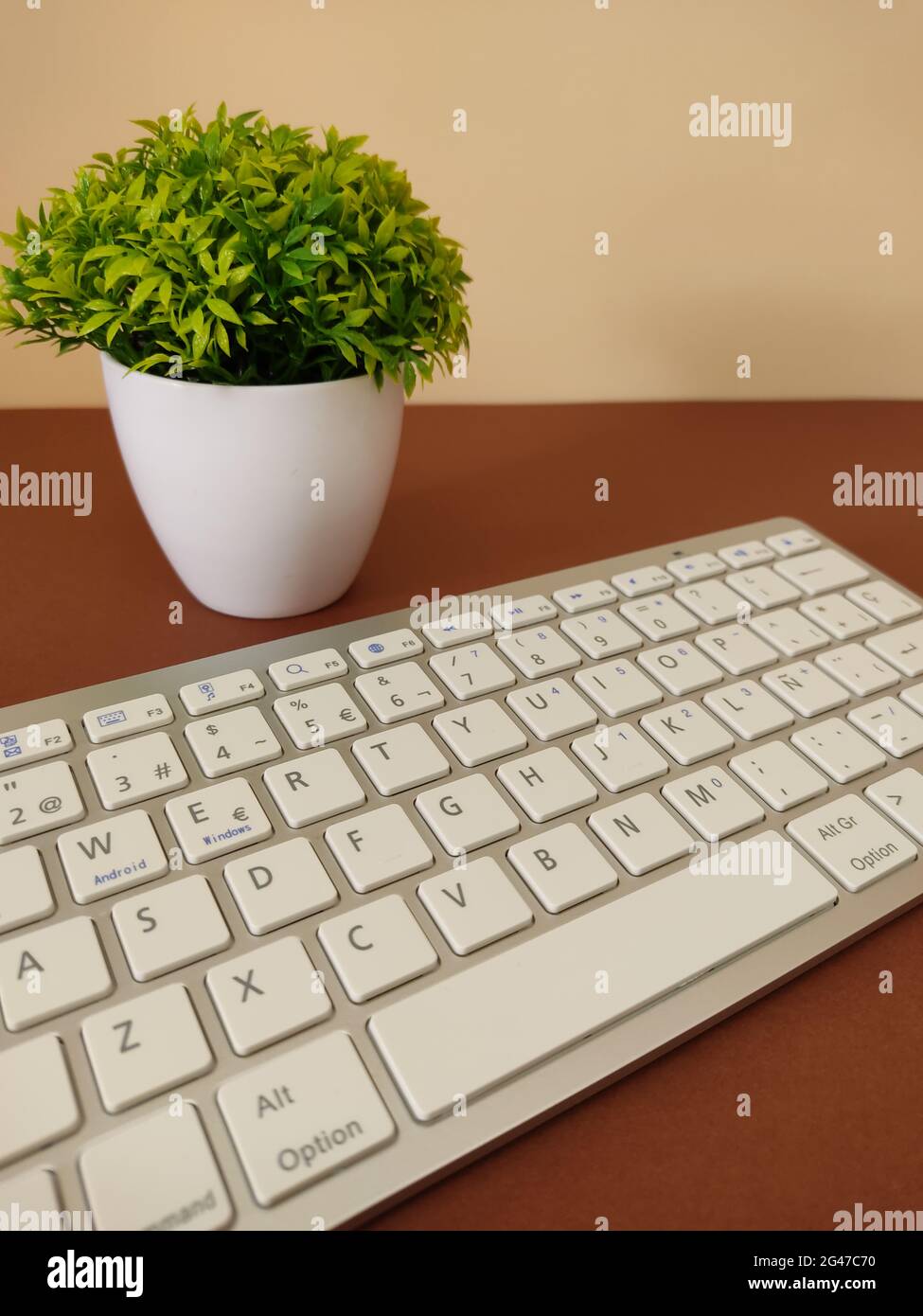 Computer keyboard green houseplant hi-res stock photography and images ...