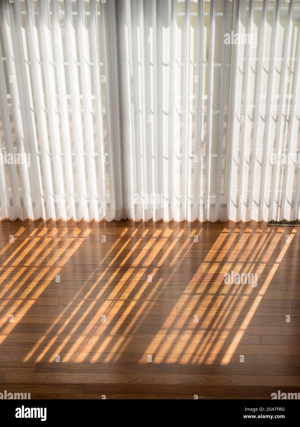 Vertical blinds cast shadows on a newly installed Brazilian Cherry ...