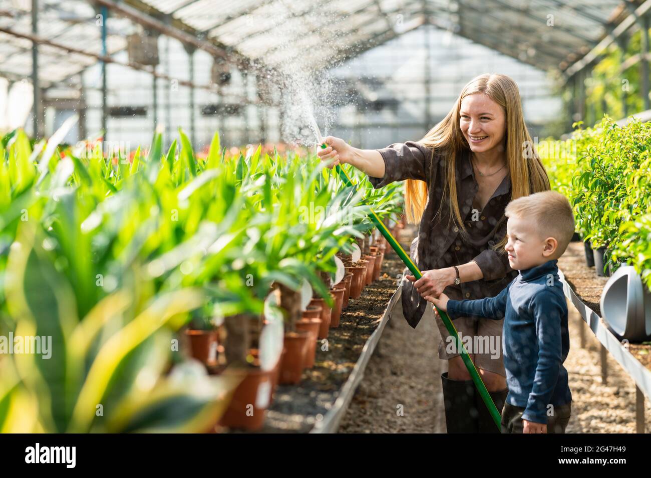 Woman greenhouse worker with her son watering plants with a hose Stock ...