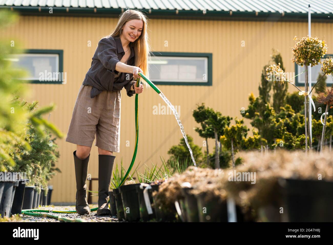 Greenhouse female professional watering plants hi-res stock photography ...
