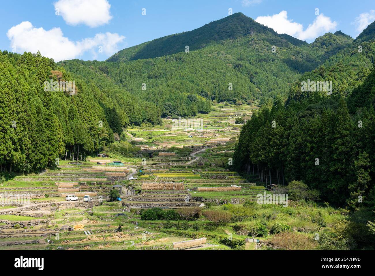 Landscape of Yotsuya Rice Terrace at harvest season of Shinshiro in ...