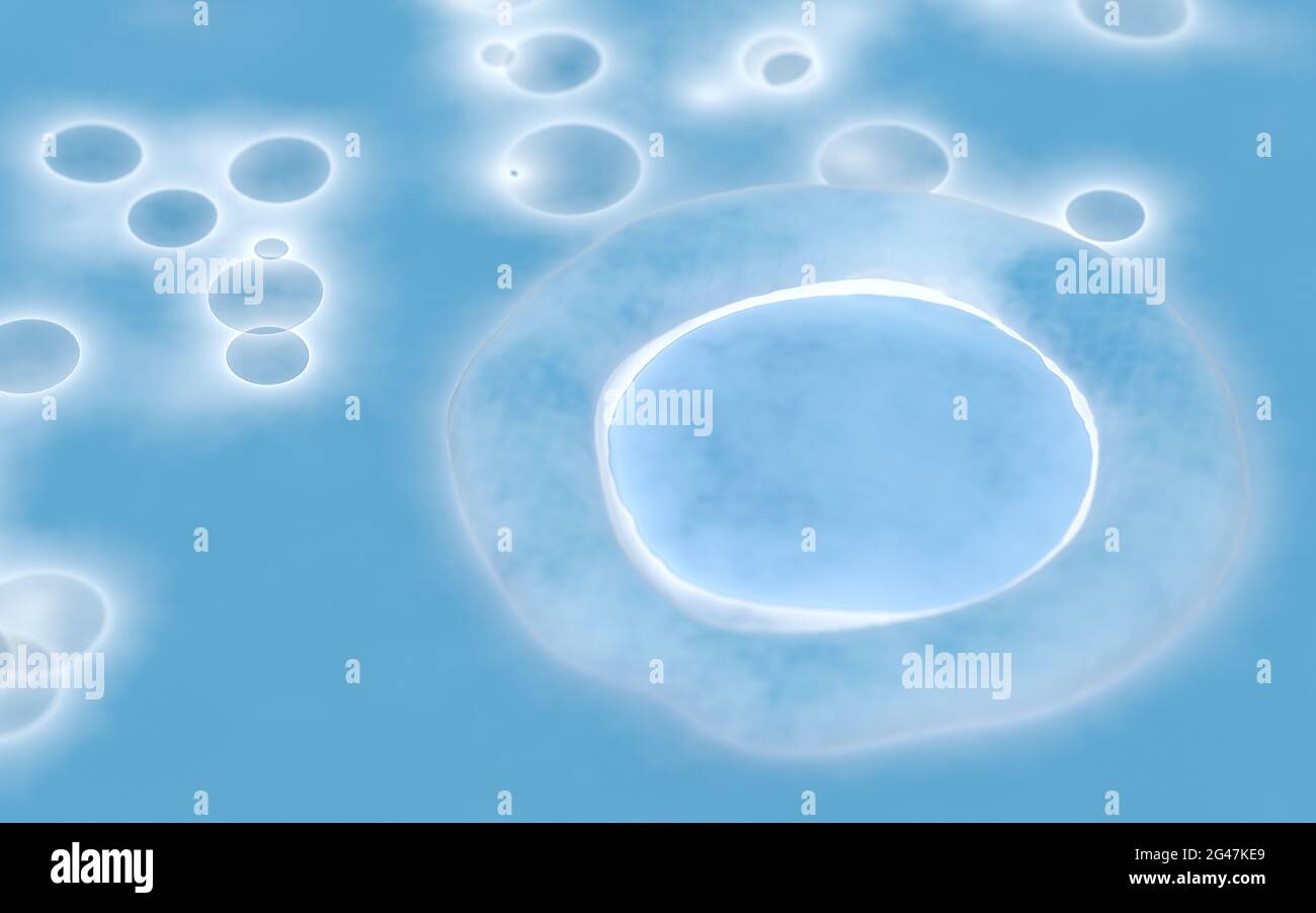 Infected bacteria, germs and fungus, 3d rendering. Computer digital ...