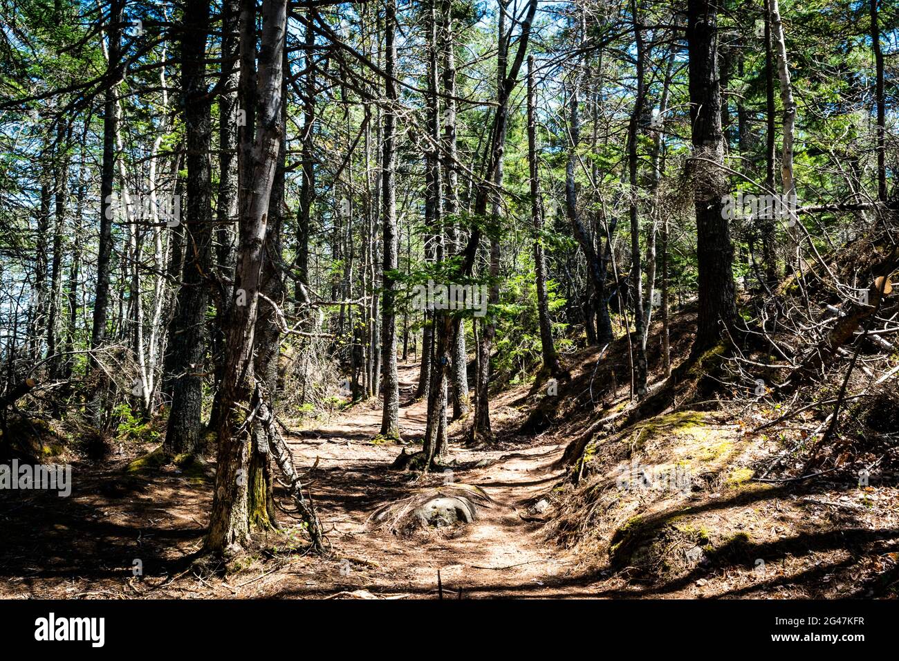 Backwoods america hi-res stock photography and images - Alamy