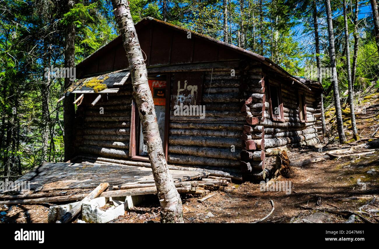 Abandoned log cabin in the middle of the wilderness Stock Photo - Alamy