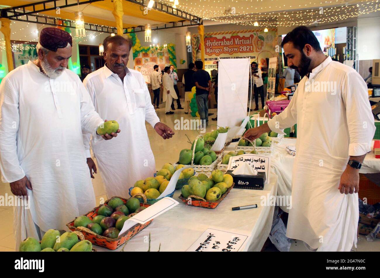 Visitors take keen interest at stalls during Annual Mangoes Exhibition ...