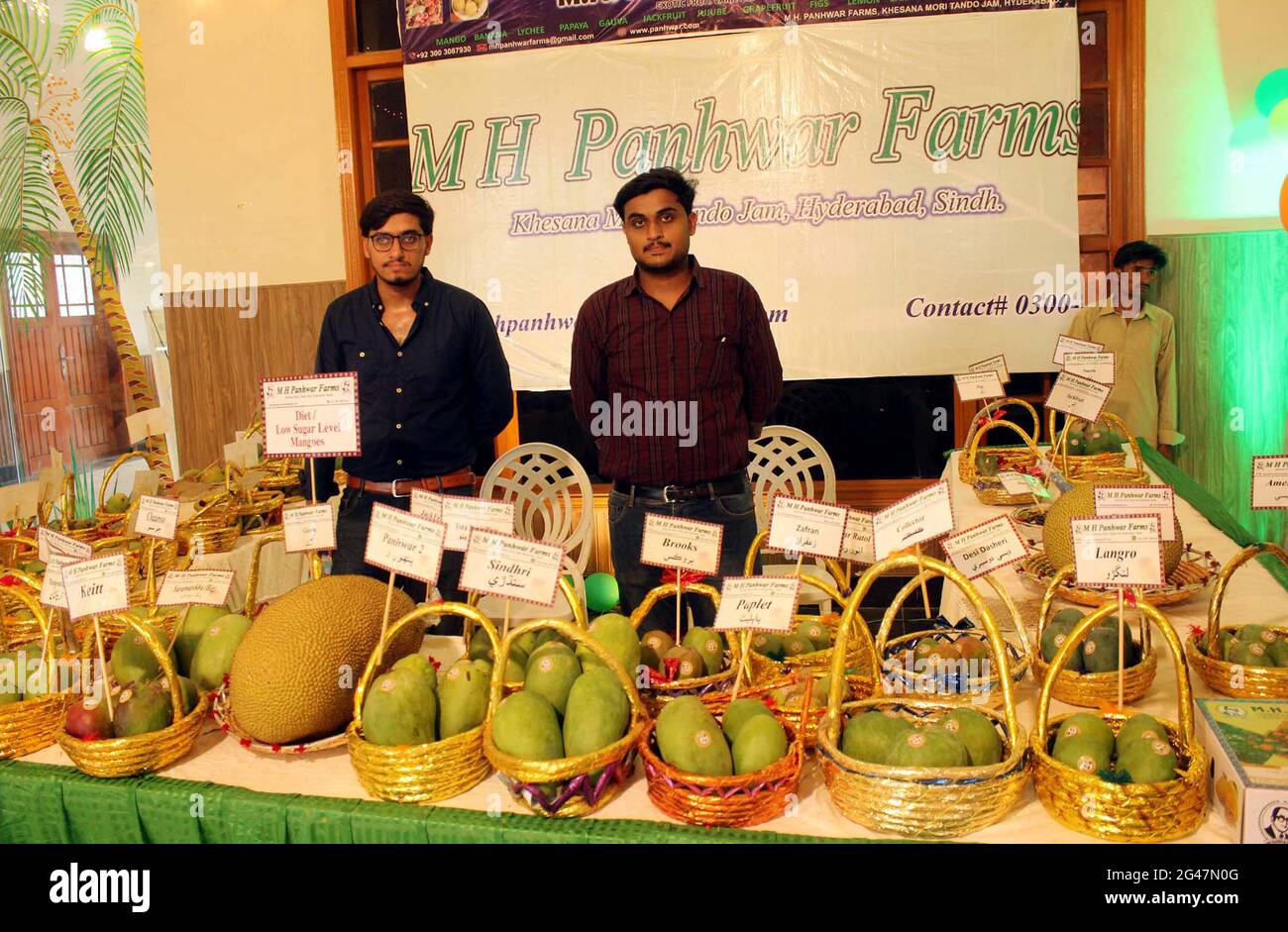 Premium mangoes hi-res stock photography and images - Alamy