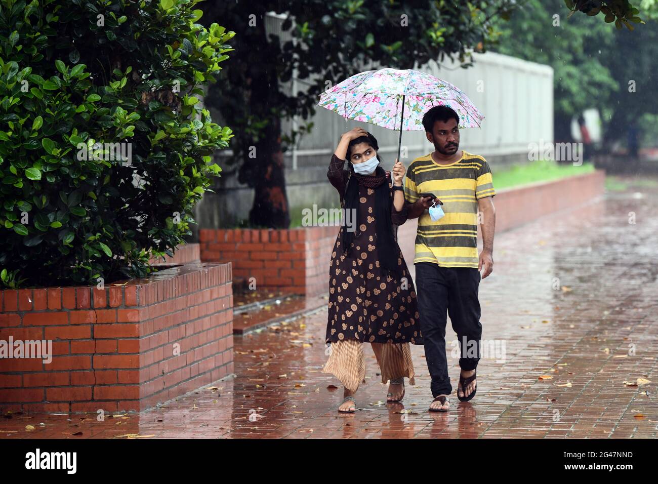 Dhaka, Bangladesh. 19th June, 2021. A couple shelters from the rain ...