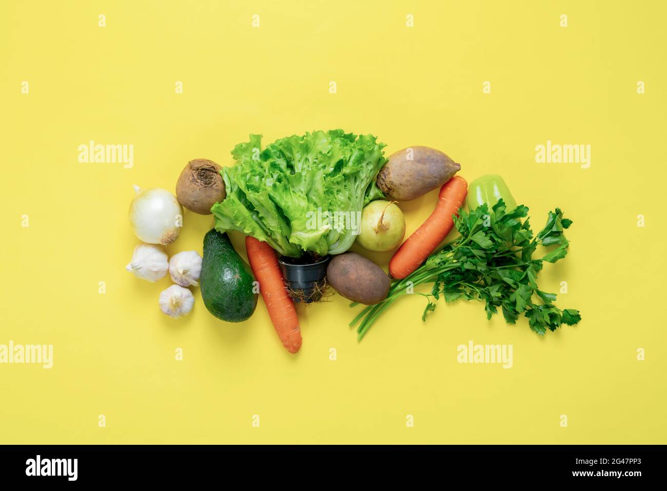 various flat lay grocery vegetables, fresh raw produce Stock Photo - Alamy