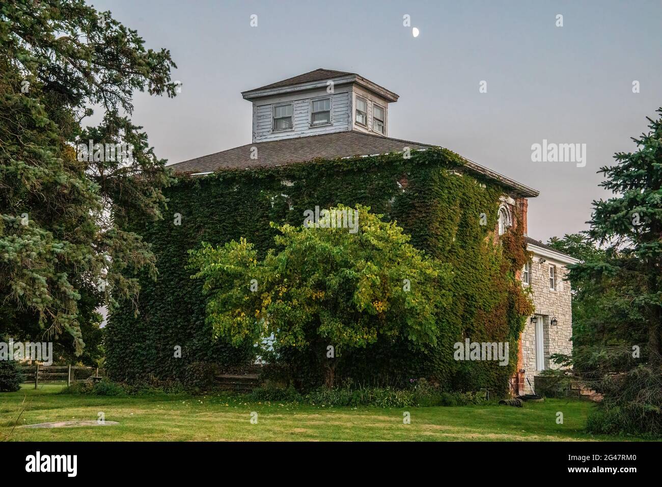 Vines on brick wall hi-res stock photography and images - Alamy
