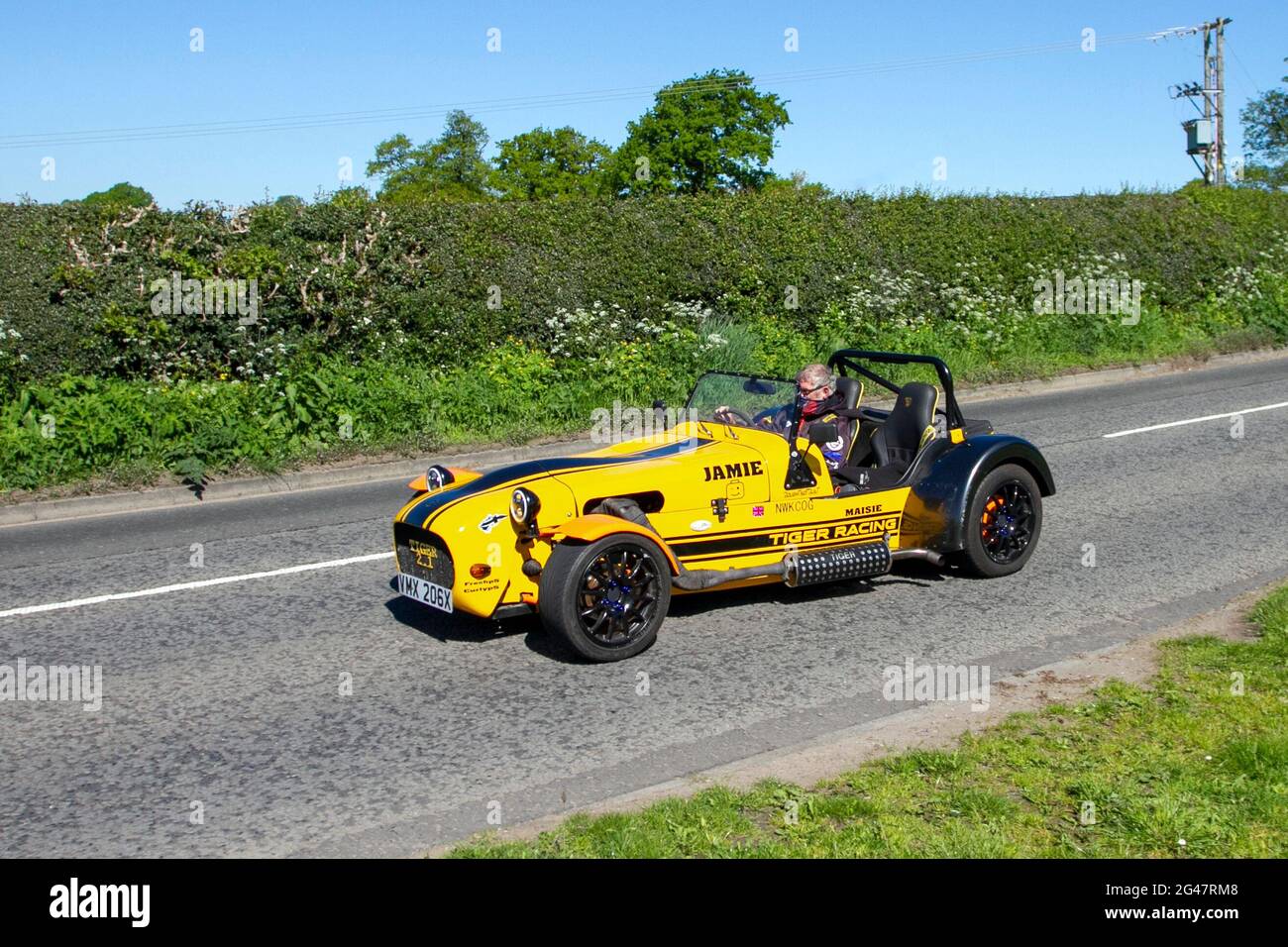 Tiger on top of car hi-res stock photography and images - Alamy