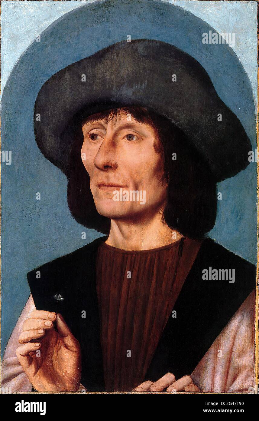 Quentin Massys - Portrait of a Man with a Pink Stock Photo - Alamy