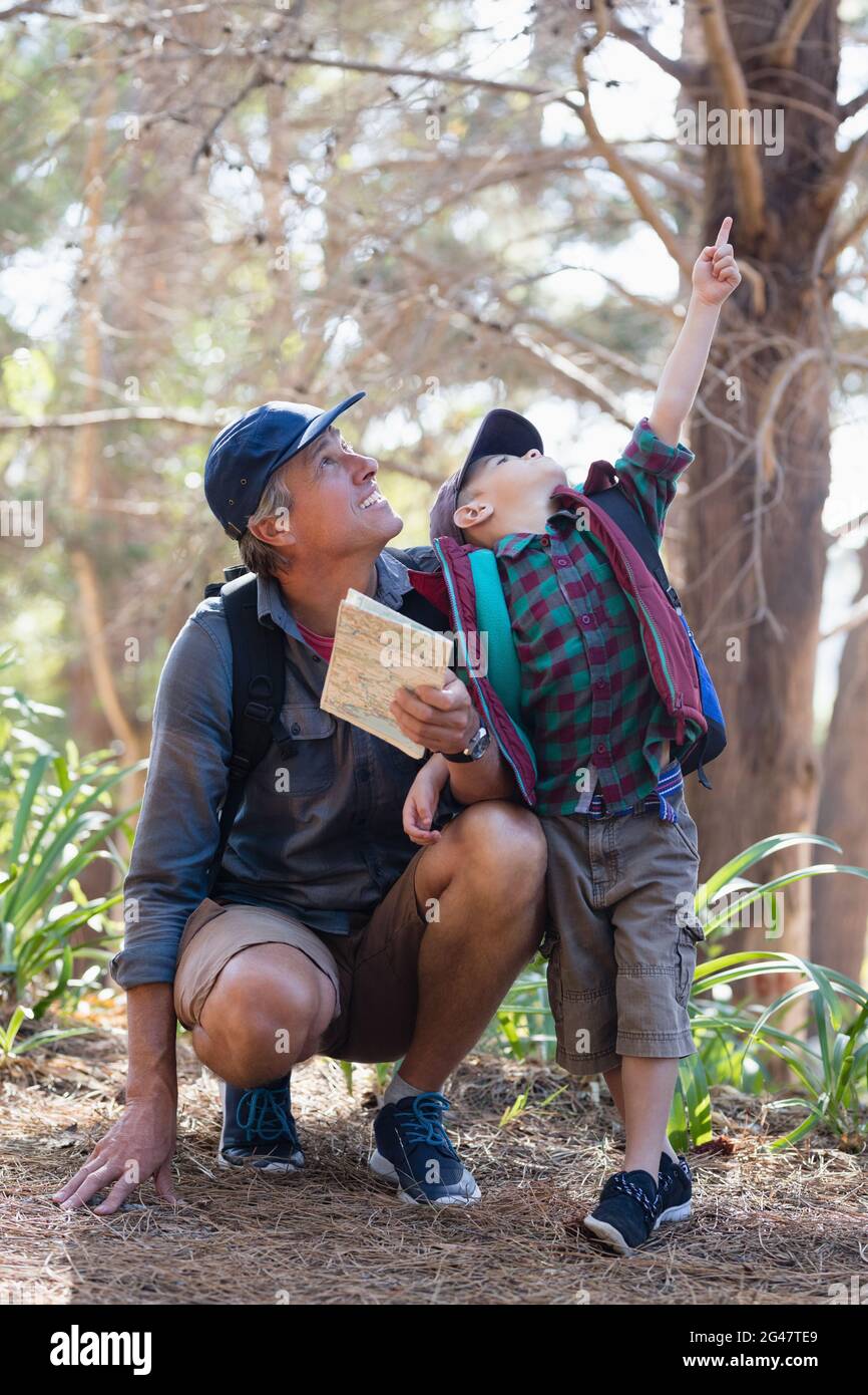 Boy pointing while man looking up in forest Stock Photo - Alamy